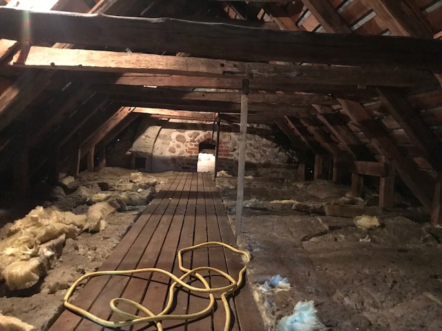 Reference billeder af borebille bekæmpelse - Vestjysk Skadedyrskontrol