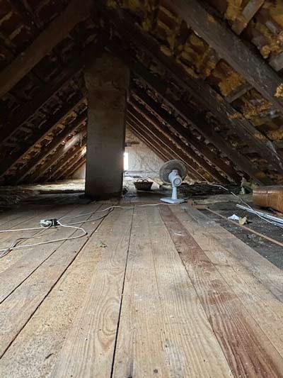 Reference billeder af borebille bekæmpelse - Vestjysk Skadedyrskontrol